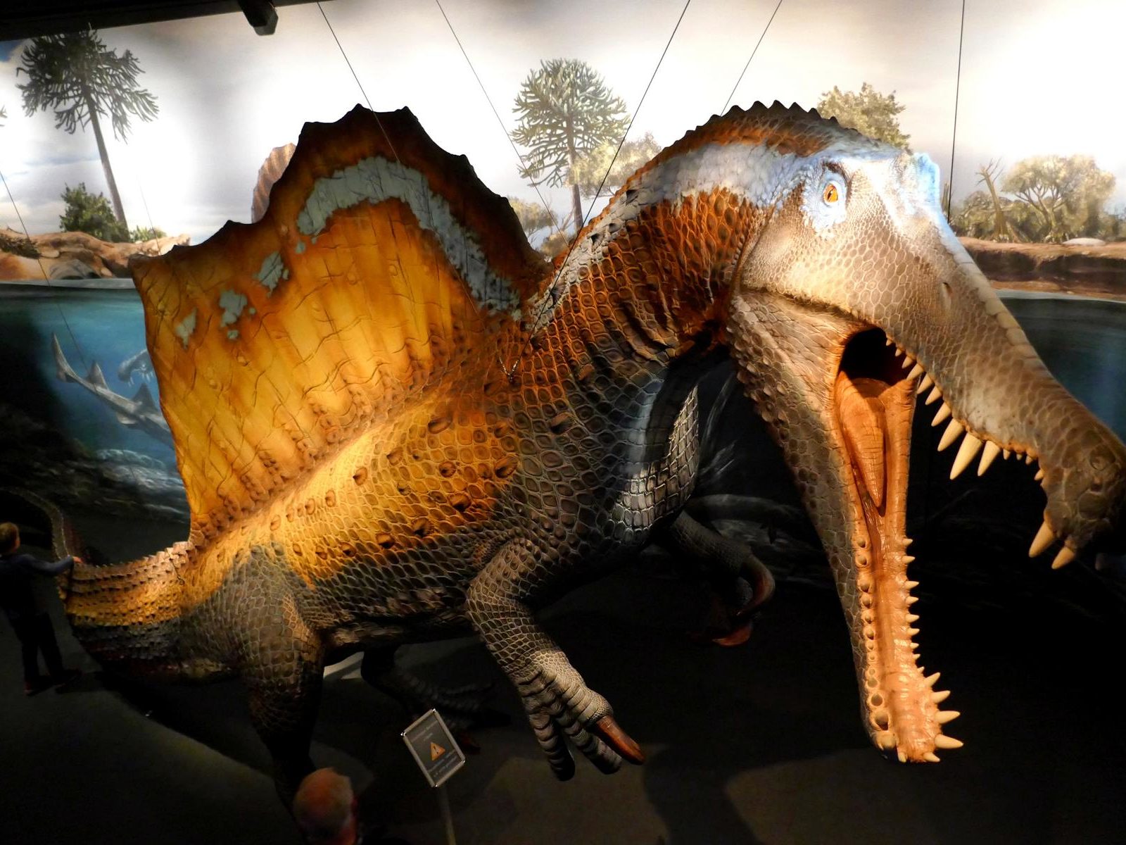 "Saurier - Giganten der Meere": spannende Familienausstellung im ...