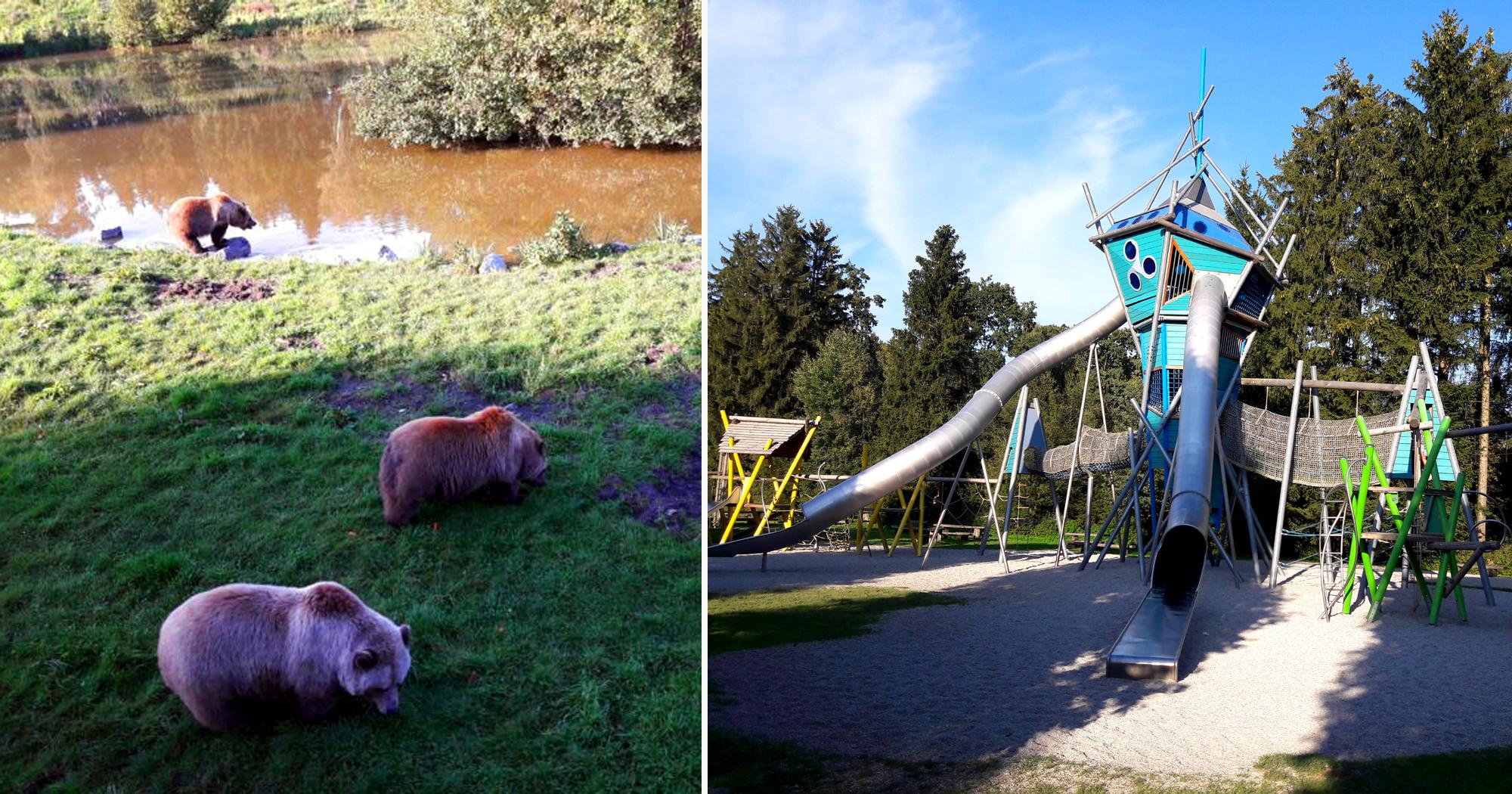 Tierparks und Tiergehege - Ich spring im Dreieck