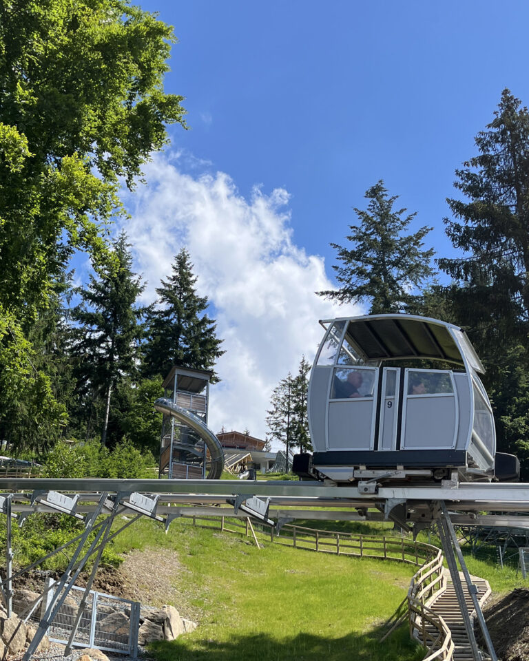 NEU 2025: Edelwies Alm eröffnet, neuer Dinopark mit 180 Dinosauriern im ...